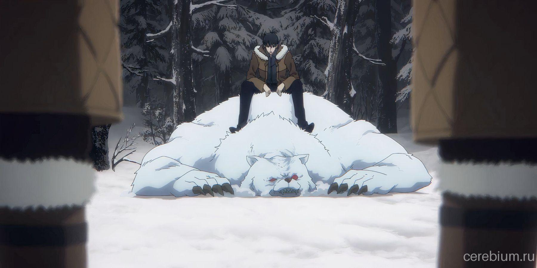 Solo Leveling: Что происходит после того, как Джин-Ву достиг | Cerebium